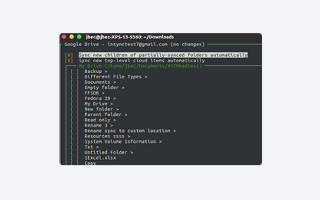 Google Drive and OneDrive on Linux Servers - Insync
